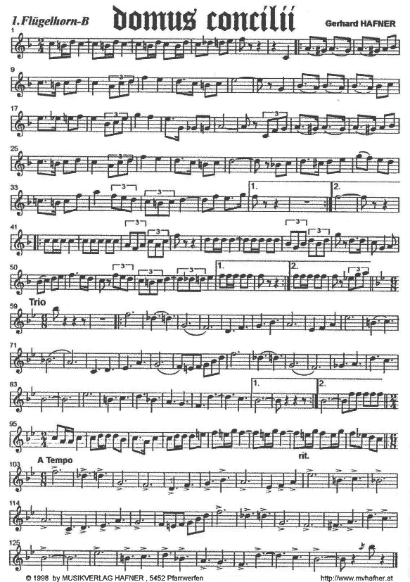 MusicaInfo.net/détails/Domus concilii (9154001)